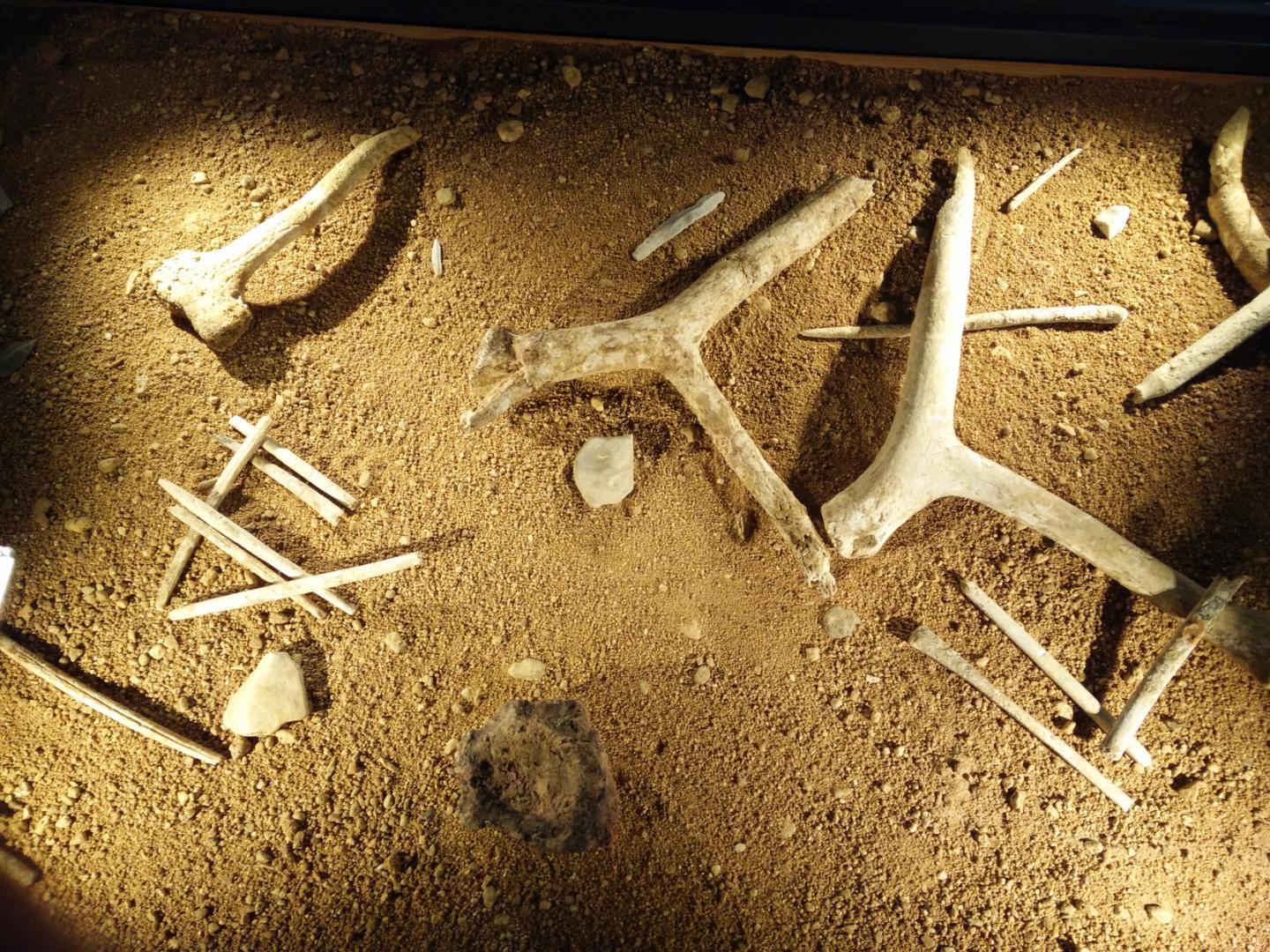 Musée et site archéologiques d'Argentomagus | Conseil départemental de ...